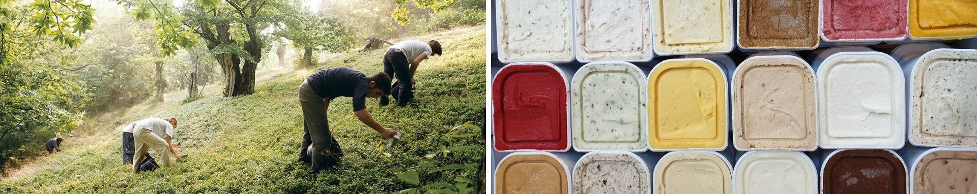 Démarche RSE Terre adélice | Une entreprise durable certifiée BioED